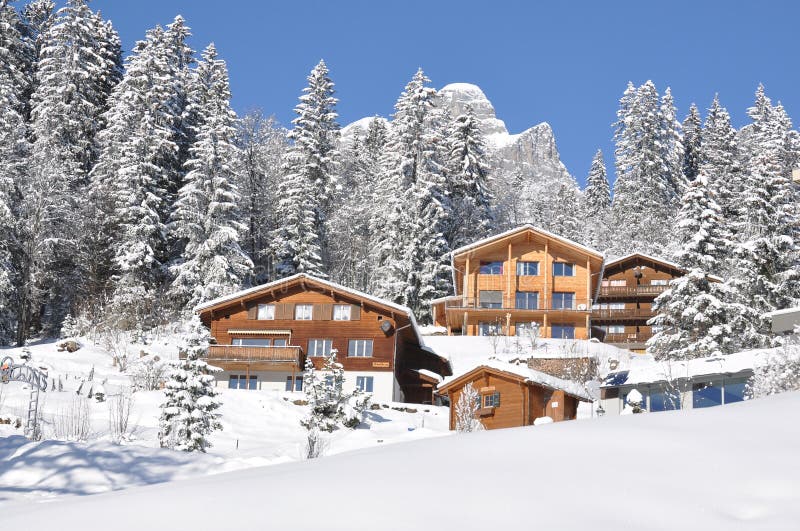 Nice chalet 2 stock image. Image of luxury, altitude, forest - 8559585