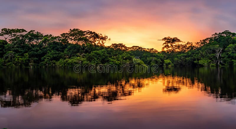 Majestic Amazon River with a Beautiful Sunset in the Background in High ...