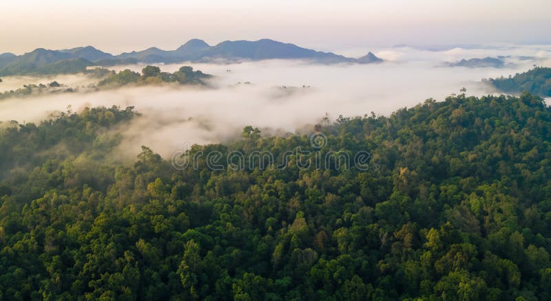Majestic Amazon River with Mist in a Beautiful Sunrise, Forested Area ...