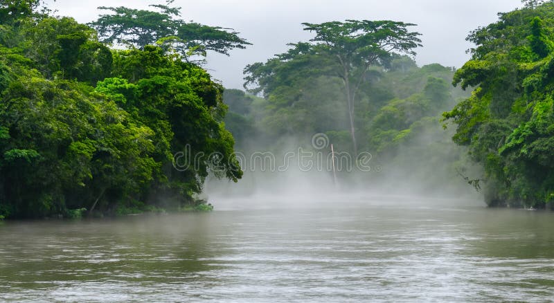 Majestic Amazon River with Mist Stock Illustration - Illustration of ...