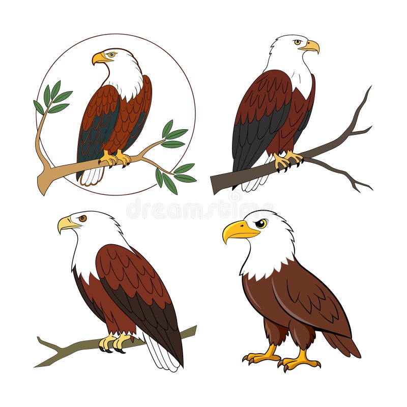 Majestic African Fish Eagle Artwork Design Stock Illustrations – 5 ...