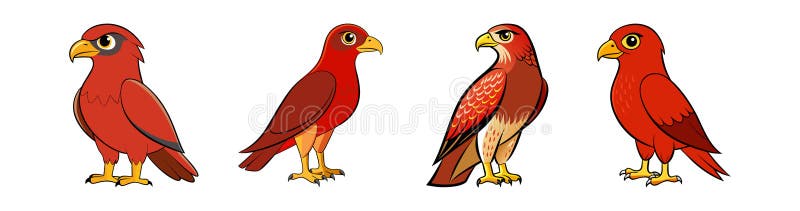 Majestic Red-shouldered Hawk Artwork Stock Vector - Illustration of ...