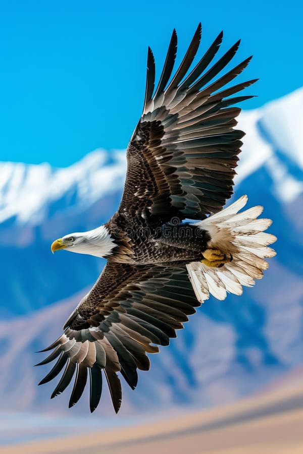 A Majestic Bald Eagle Soaring Against a Backdrop of Snow-capped ...
