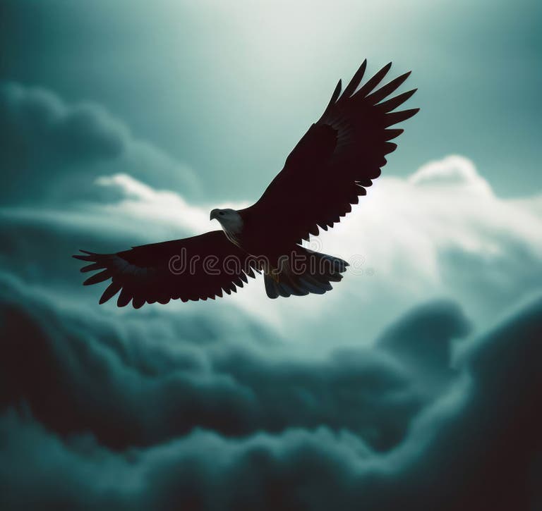 Majestic Bald Eagle Soaring through Dramatic Clouds Stock Illustration ...