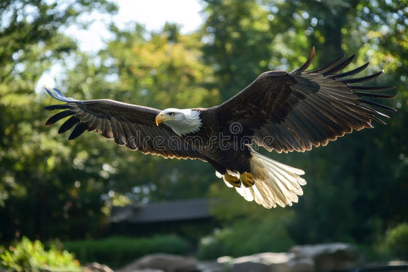 Majestic Bald Eagle Soaring through Lush Green Forest Stock Illustration - Illustration of beak ...