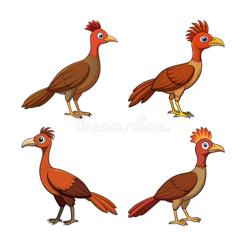 Majestic Chachalaca Bird Art Stock Vector - Illustration of isolated ...