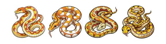 Majestic Reticulated Python Coloring Design Stock Vector - Illustration ...