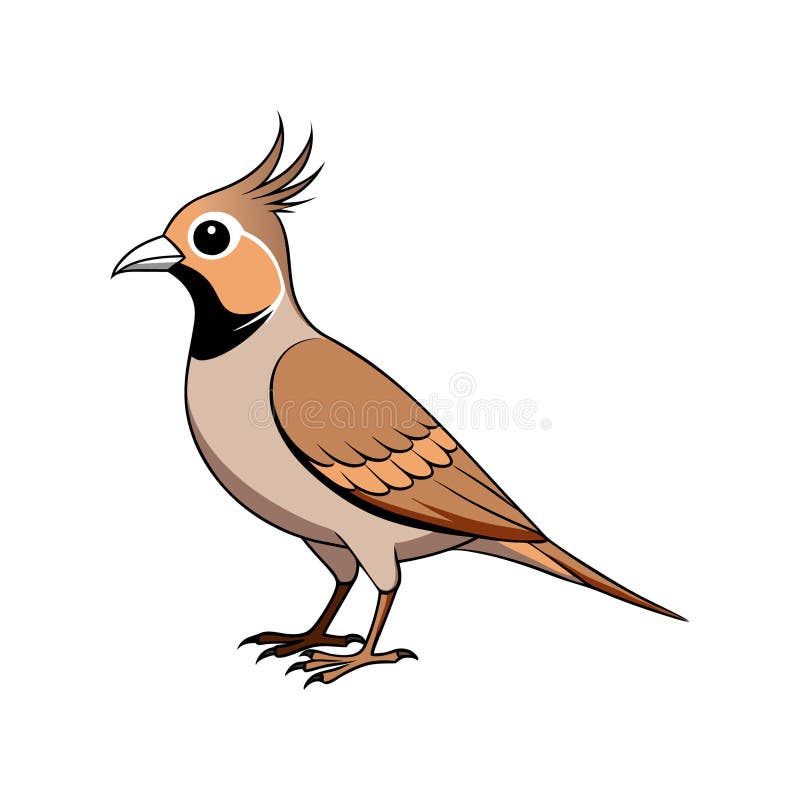 Majestic Crested Lark Design Stock Image - Illustration of majestic ...