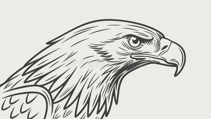 Eagle Head Authoritative Stock Illustrations – 25 Eagle Head ...
