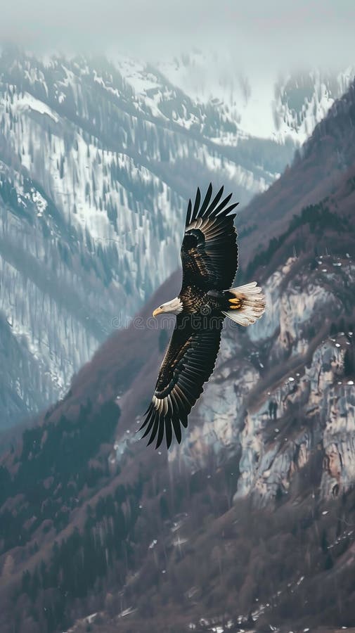 A Majestic Eagle Soaring High Above the Mountains Stock Illustration ...