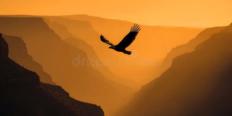 Majestic Eagle Soaring Over Canyon a Breathtaking Vista Stock ...