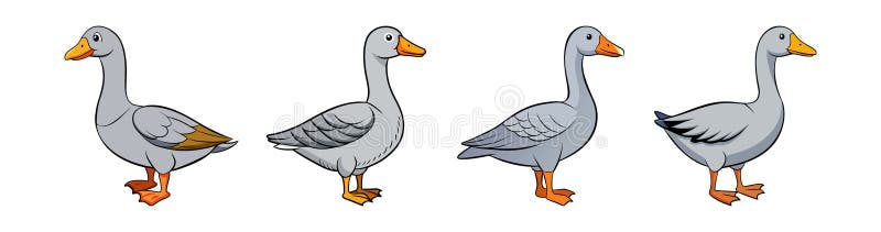 Majestic Emperor Goose Artwork Stock Vector - Illustration of plumage ...