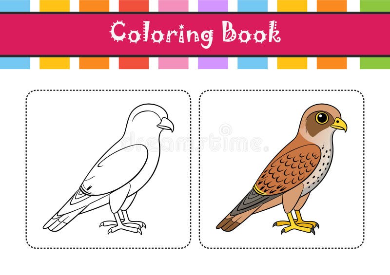 Majestic Greater Kestrel Bird Artwork Stock Vector - Illustration of ...