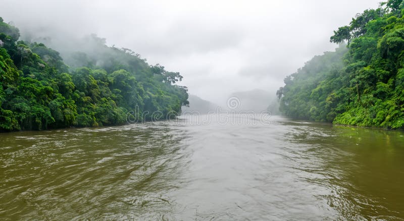 Majestic Green River of the Amazon with Mist in a Beautiful Sunrise by ...