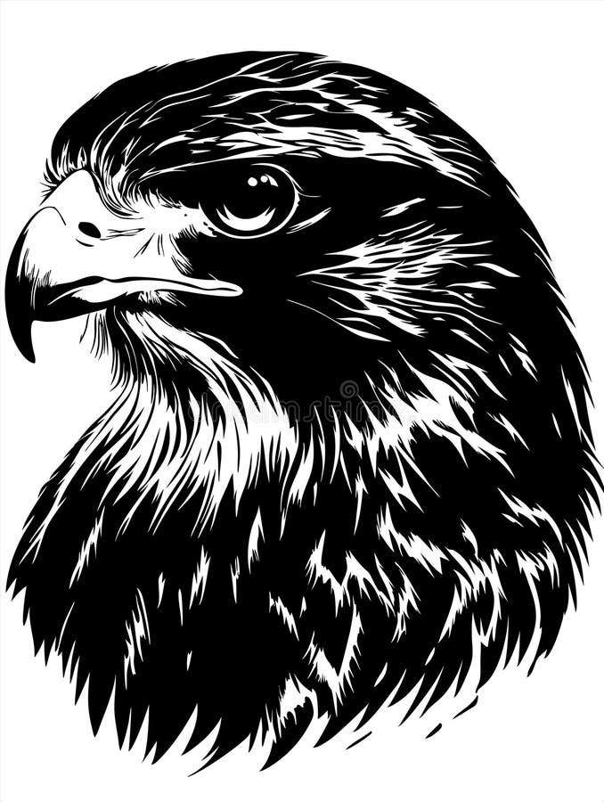 Majestic Hawk Vector Illustration for Tattoos and Design Projects Stock ...