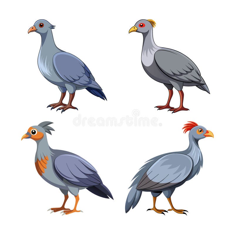 Majestic Kagu Color Illustration Stock Vector - Illustration of ...