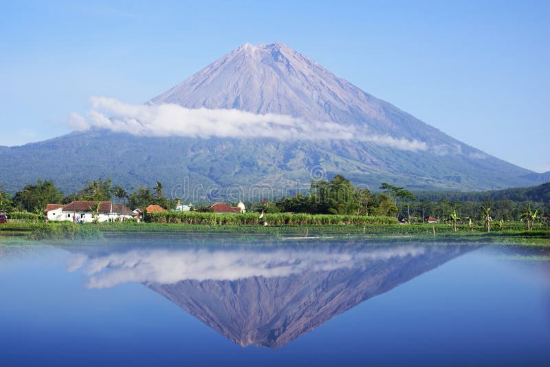 Majestic Mount Semeru with Clear Reflection in Rice Field Water, East ...