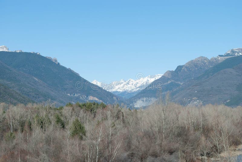 Majestic Mountain Scenery with Clear Blue Sky and Towering Trees Stock ...