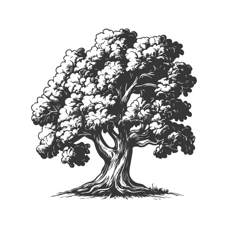 Majestic Oak Tree Black and White Silhouette Illustration. Symbol of ...