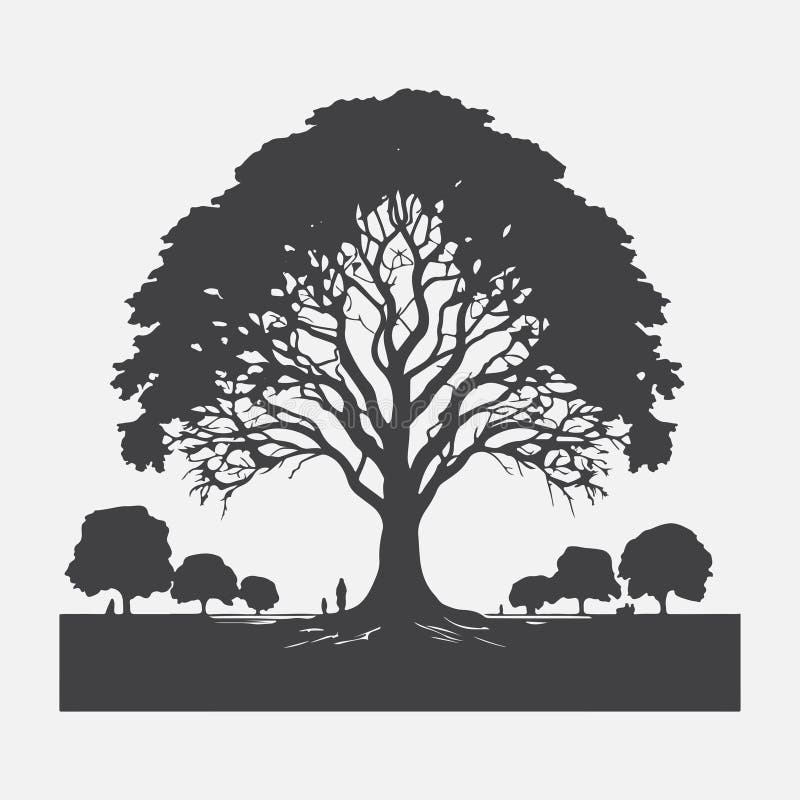 Majestic Pecan Tree Silhouette: Nature S Timeless Shadow Stock ...