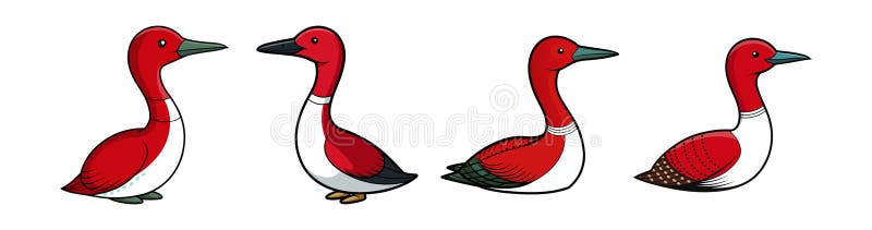 Majestic Red-throated Loon Artwork Stock Vector - Illustration of ...