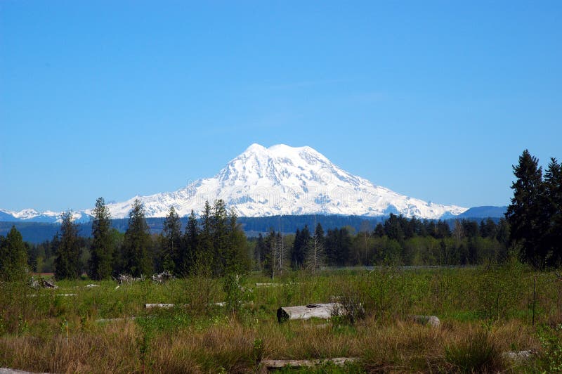 Majestic Snow Covered Mount Rainer Stock Photo - Image of cloudless ...
