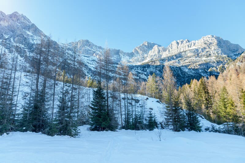 Majestic Snow Covered Mountain on a Sunny Winter Day Stock Image ...