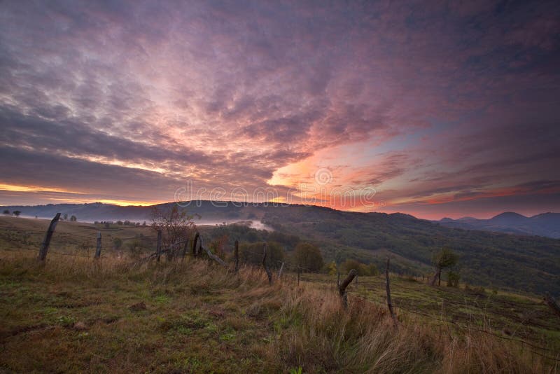 Majestic sunset stock photo. Image of landscape, flower - 35539672