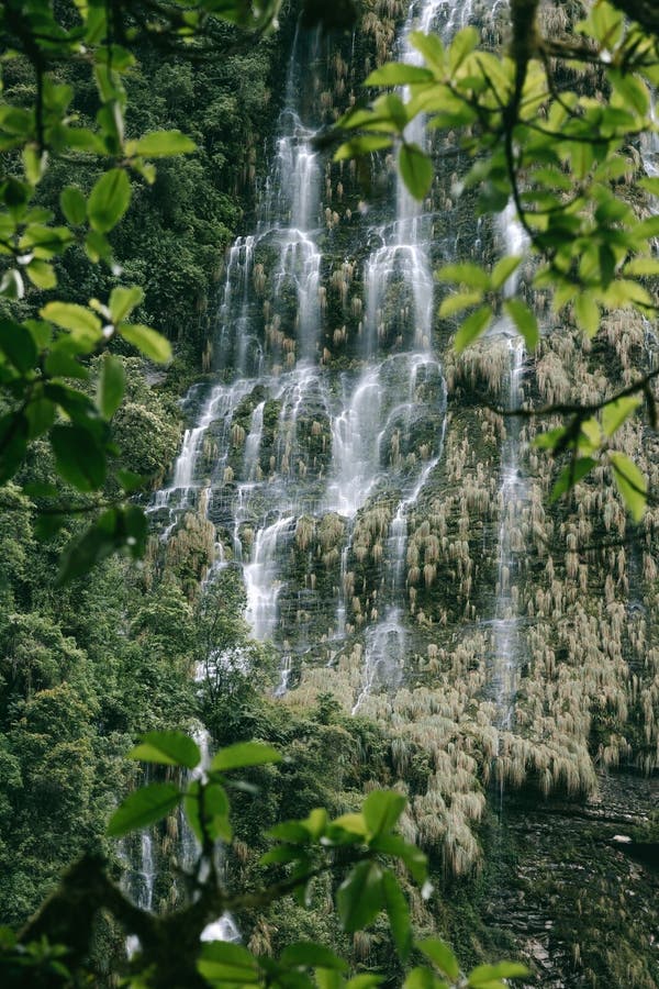 Majestic Waterfall Cascading Down a Lush Green Forest Full of Trees ...