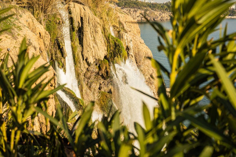 Majestic Waterfall Cascading Over Cliffs Surrounded by Lush Foliage ...