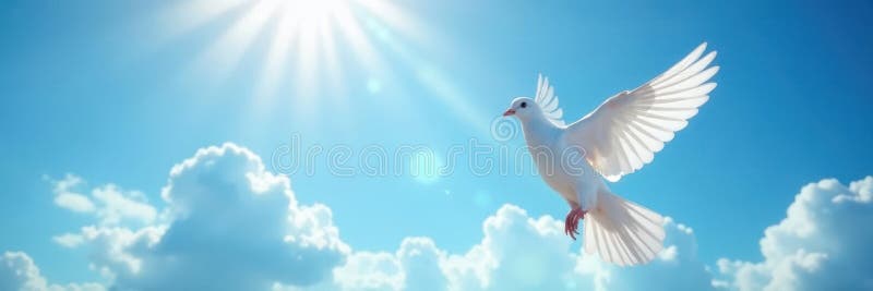 Majestic White Dove Ascends, Vibrant Blue Backdrop, Sun Rays, Rays ...