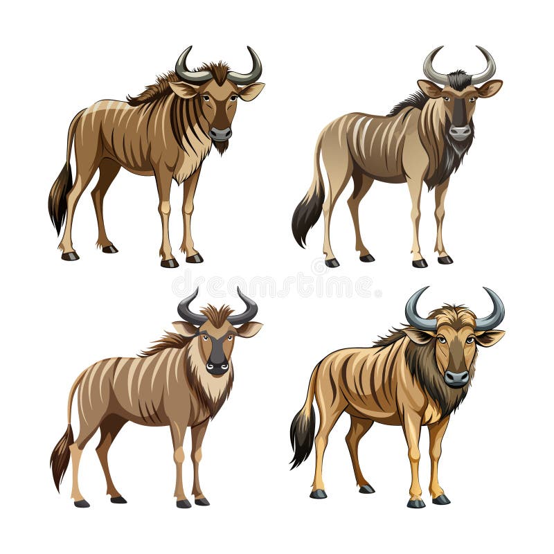 Majestic Wildebeest Color Illustration Stock Vector - Illustration of ...