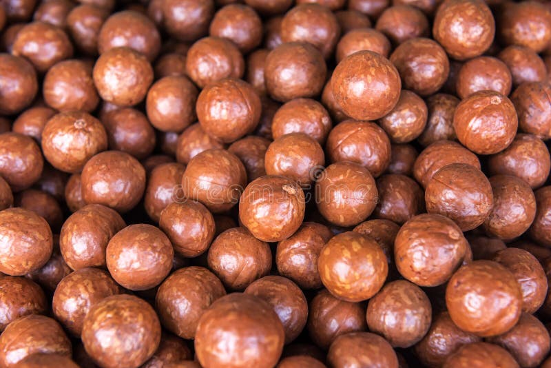 Makadamia nuts texture stock image. Image of white, rustic - 89907437