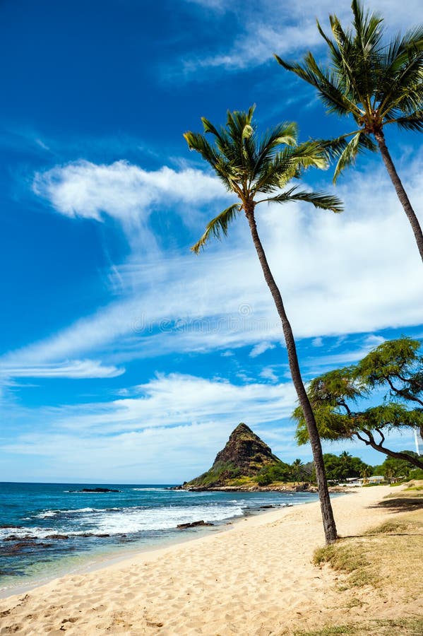 Makaha Beach Park, Hawaii stock photo. Image of beach - 39344956