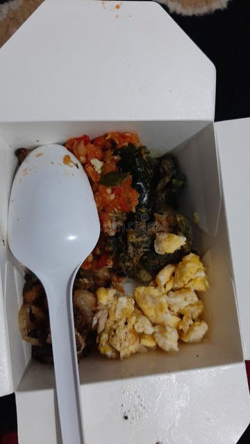 Makanan box mini stock image. Image of mini, lunch, plant - 248806415