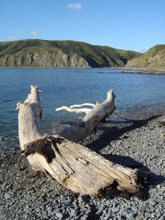 Makara Beach stock image. Image of zealand, beach, coast - 1596323