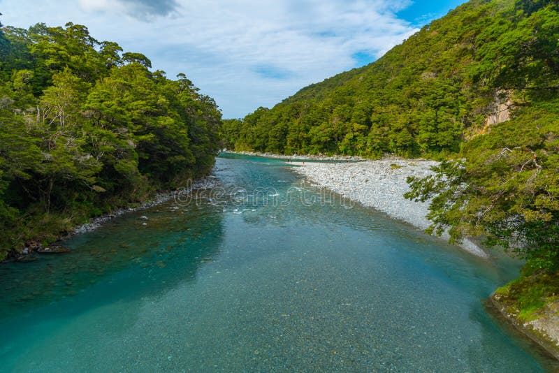 Makarora River in New Zealand Stock Photo - Image of rain, moss: 204927452
