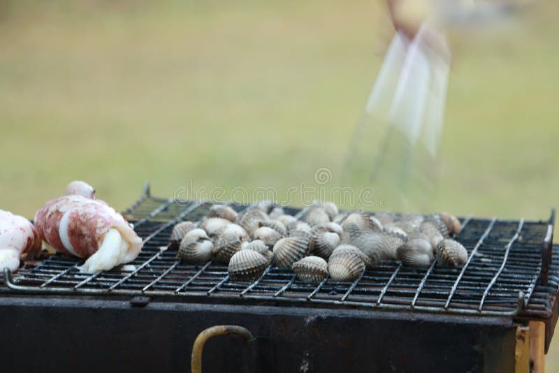 Make BBQ Party with Fresh Seashell and Squid on the Grill with ...