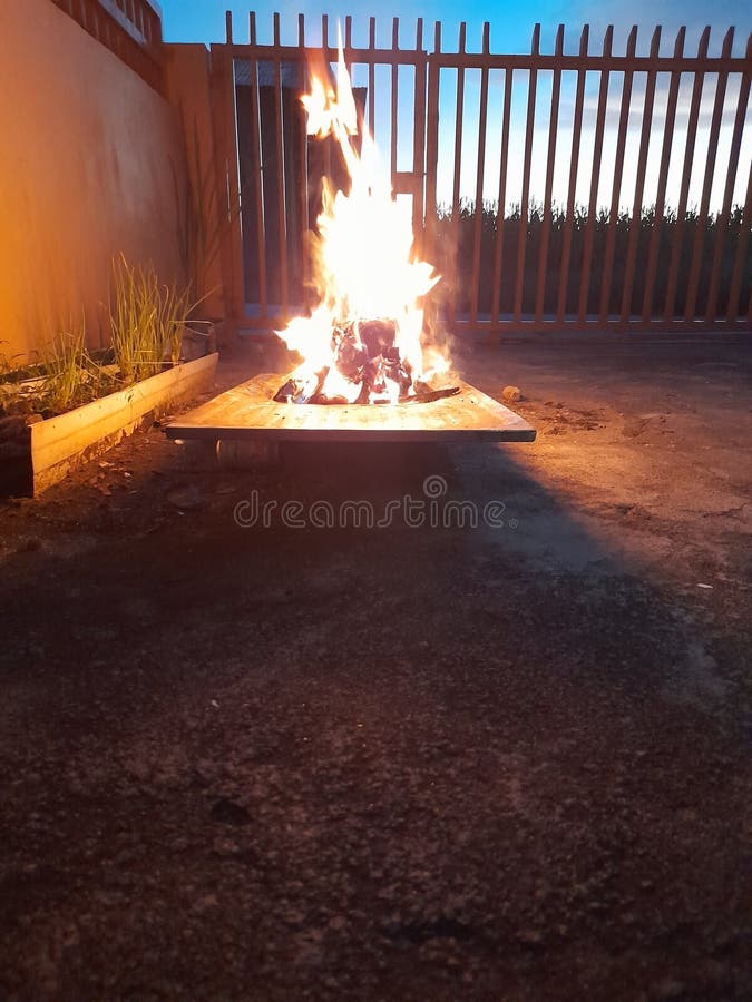 Fire stock photo. Image of sunlight, evening, wood, soil - 289027914