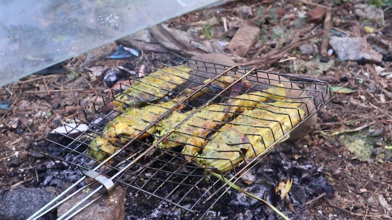 Make grilled fish stock footage. Video of color, cooked - 306348842