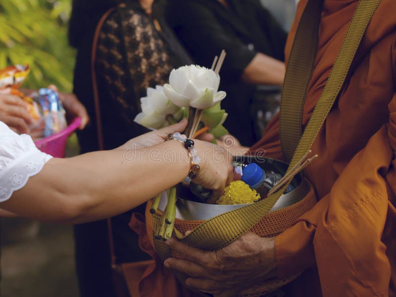 Make Merit Make Offerings To the Monk in Buddhism Stock Photo - Image ...