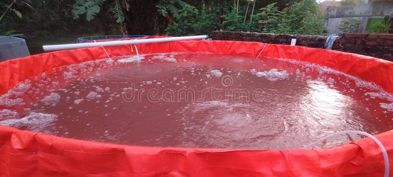 Make a Pool Frame from Wiremes, and the Result is after it Becomes a ...