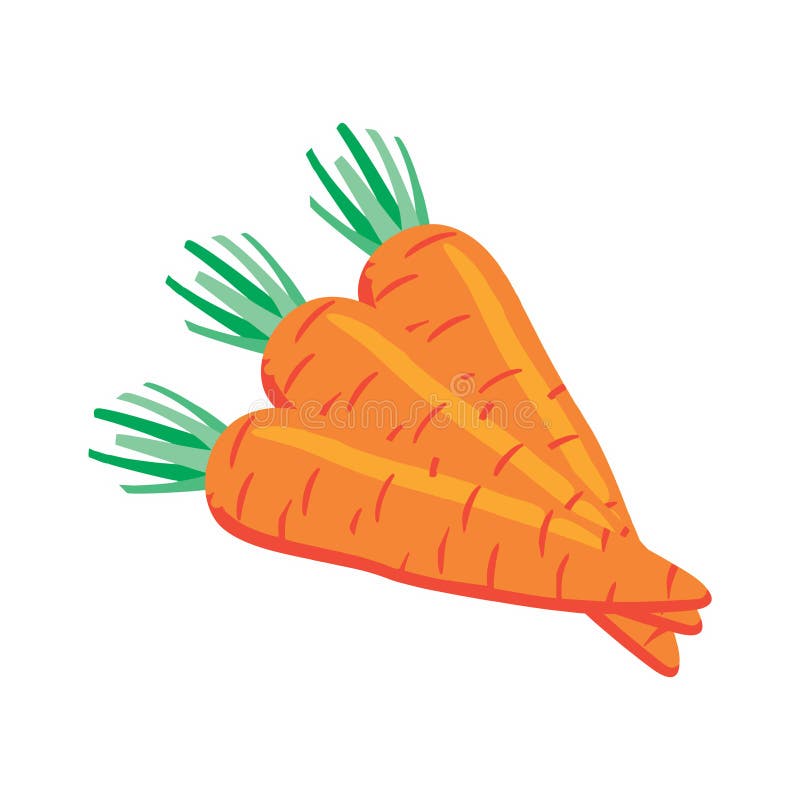 Wortel Vector Stock Illustrations – 9 Wortel Vector Stock Illustrations ...