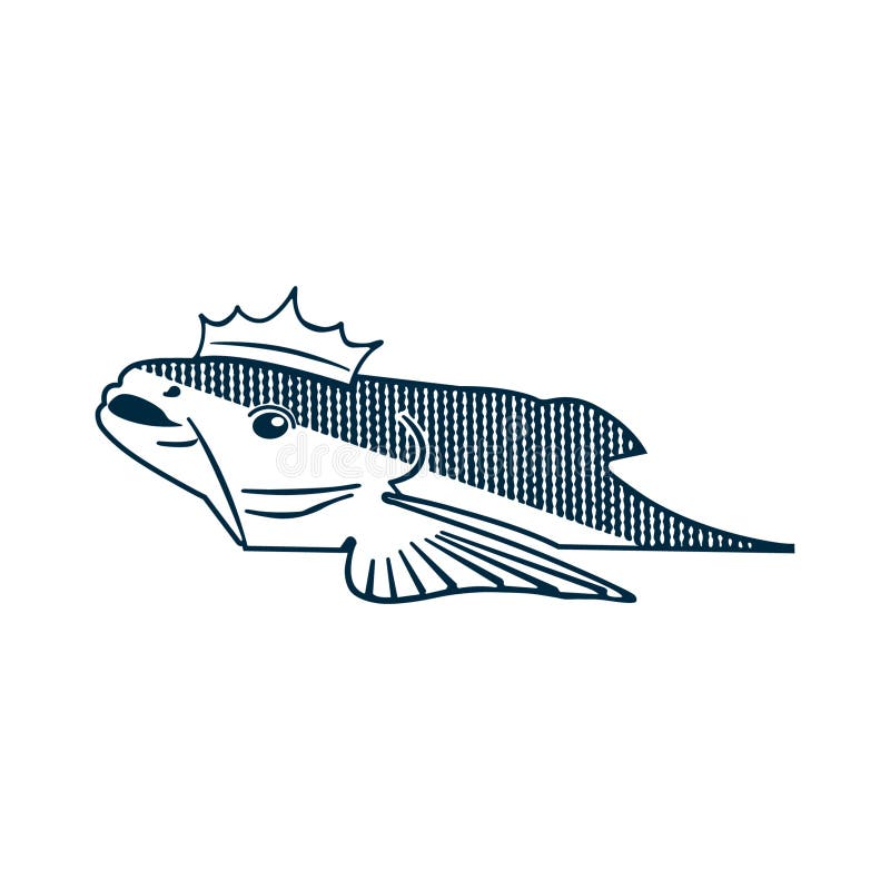 Make a Professional Mekong Giant Catfish Vector Stock Illustration ...