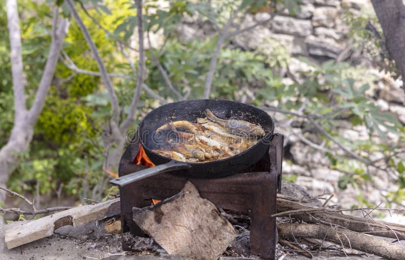 Make Shift Camp Fire with an Old Frying Pan. Editorial Photography ...