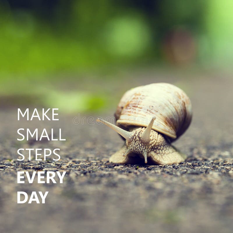 Make Small Steps Every Day. Small Brown Snail. Stock Photo - Image of ...