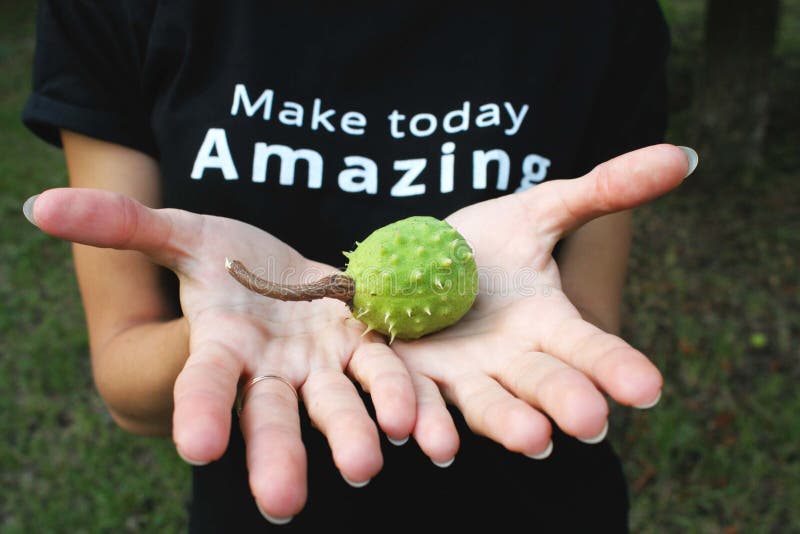 Make today Amazing stock photo. Image of awesome, chestnut - 91195576