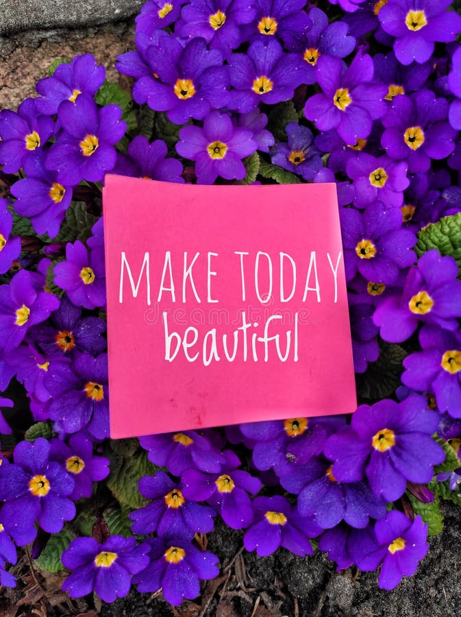 Make today beautiful stock image. Image of yellow, petal - 246294281