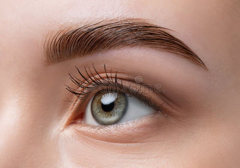 The Make-up Artist Does Long-lasting Styling of the Eyebrows of the ...