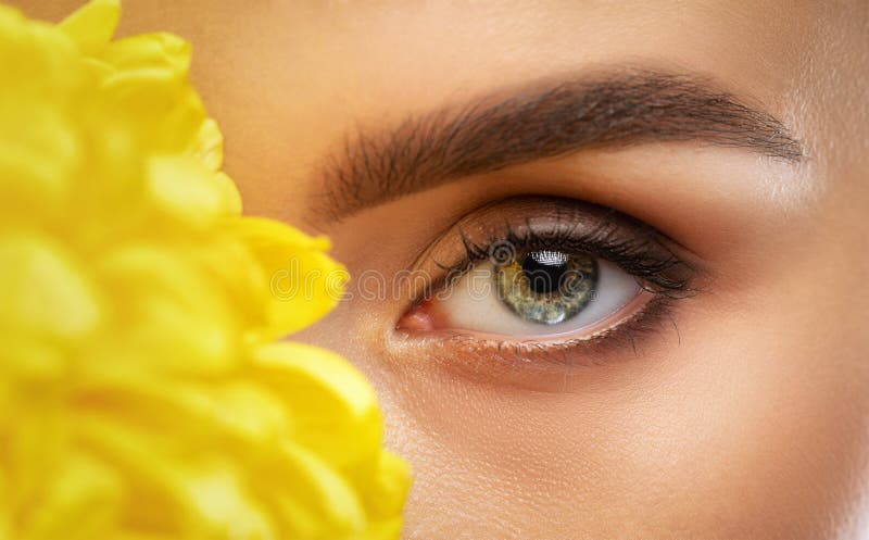 The Make-up Artist Does Long-lasting Styling of the Eyebrows and Will ...